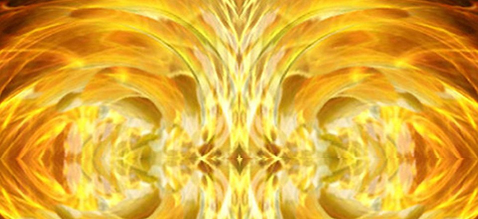 Connection to ‘The Divine Light of Gold’ – Star Orchid